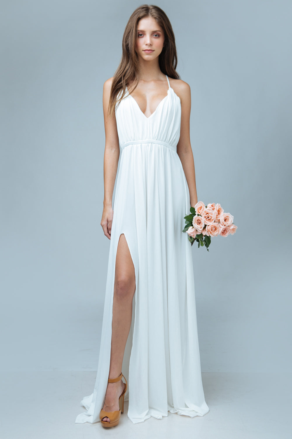 Collections – Zoo Label