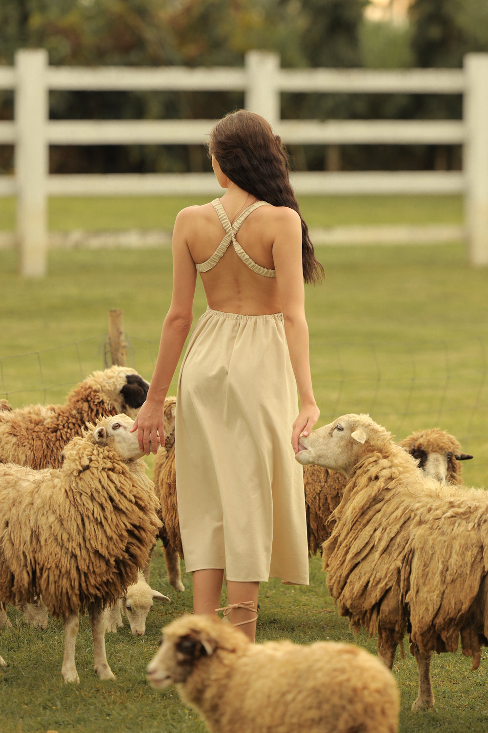 ABRIELLE Crossed Back Garterize Midi Dress (Nude Linen) – Zoo Label